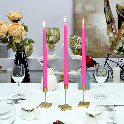 Zest Candle 12-Piece Taper Candles, 12-Inch, Hot Pink