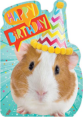 Paper House Guinea Pig in Birthday Hat Die Cut Foil Cute Birthday Card for Kids