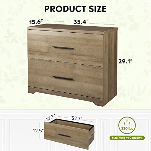 DEVAISE 2 Drawer Wood Lateral File Cabinet with Anti-tilt Mechanism, Storage Filing Cabinet for Home Office, Gray Oak