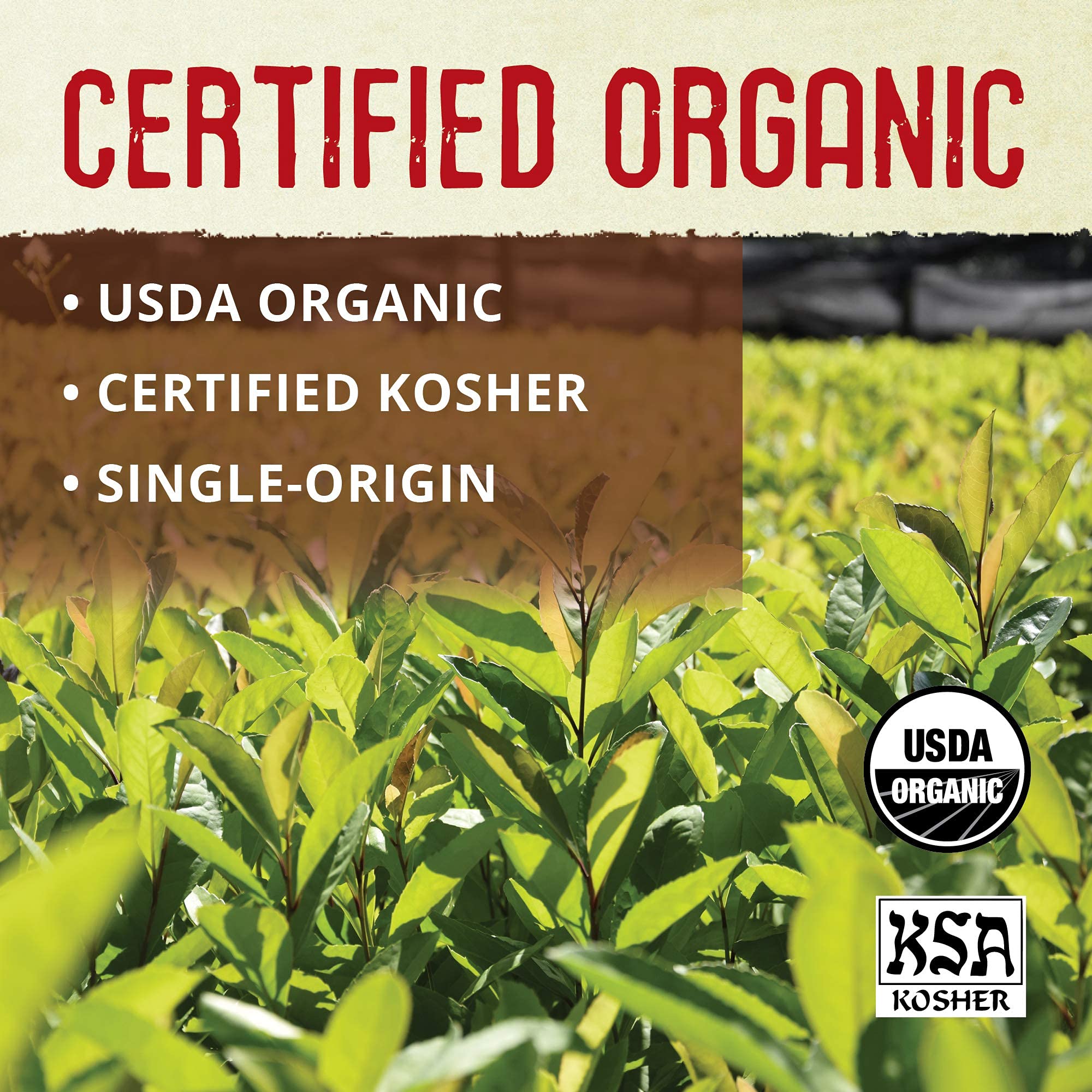 ECOTEAS - Organic Yerba Mate Loose Tea Traditional Cut - 1 Lb - Detox Tea -Yerba Mate Tea - Hi Caf Tea - Yerba Mate Energy Burst - Ecoteas Yerba Mate