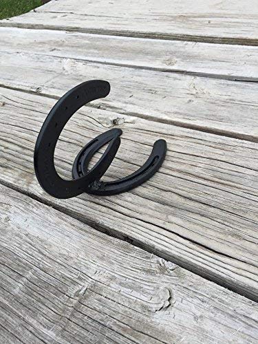 Horseshoe Hook