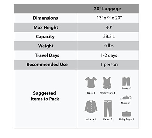 Rockland Safari Hardside Spinner Wheel Luggage, Leopard, Carry-On 20-Inch