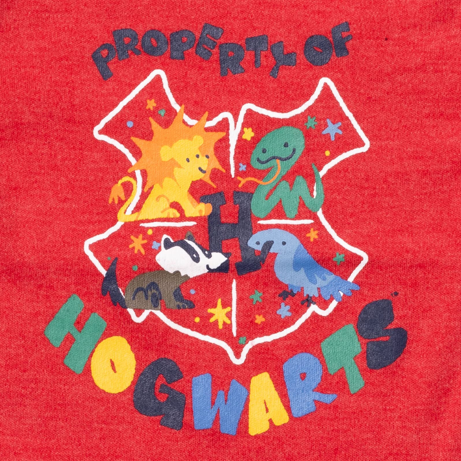 Harry Potter Infant Baby Boys 3 Pack Graphic T-Shirts Red/Gray/Blue 24 Months