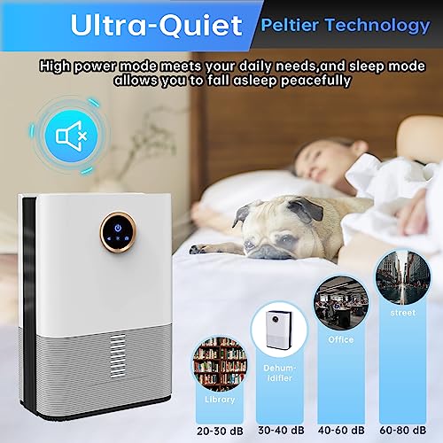 PTHRAOUTA dehumidifier for basement bathroom RV home closet indoor indoor 33.8 oz water tank(800 sq.ft) small dehumidifiers safe mini drainage auto-off odor removal 2 duak-core portable dehumidifier 5 colorful lights remove moisture quite silent car deh
