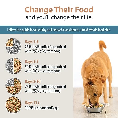 JustFoodForDogs Frozen Fresh Dog Food Topper Starter Pack, Beef & Turkey Recipes, 5.5 oz (Pack of 9)