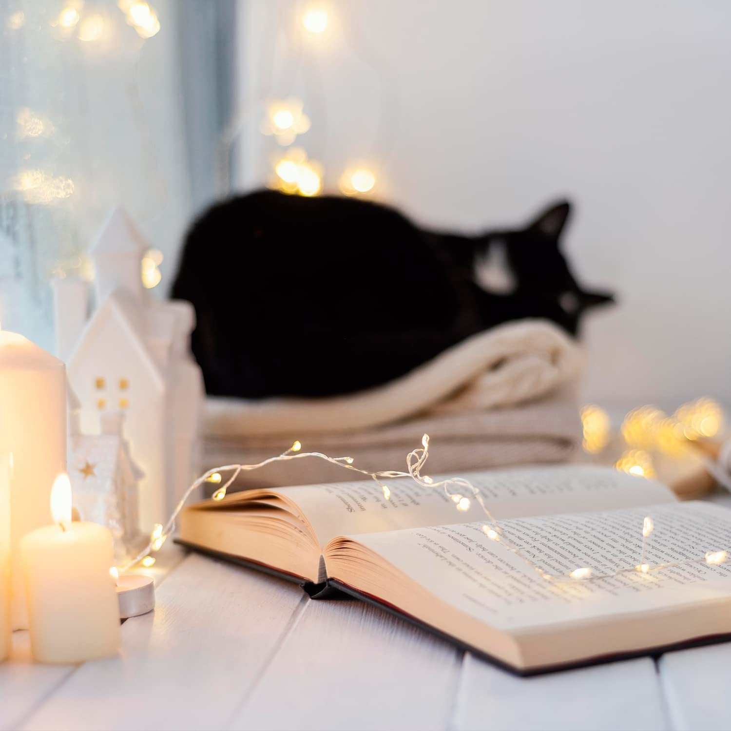 Cluster Lights Fairy Lights Battery Operated & USB Powered 10Ft 100 LED Mini String Lights Copper Wire Indoor Twinkle Firecracker Light Warm White Starry Decoration for Bedroom Wedding Christmas Party