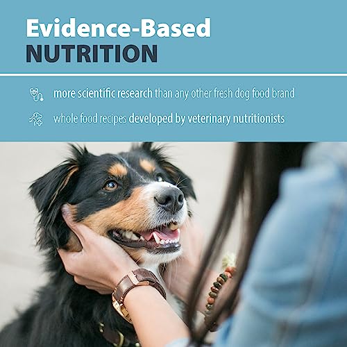 JustFoodForDogs Frozen Fresh Dog Food Topper Starter Pack, Beef & Turkey Recipes, 5.5 oz (Pack of 9)
