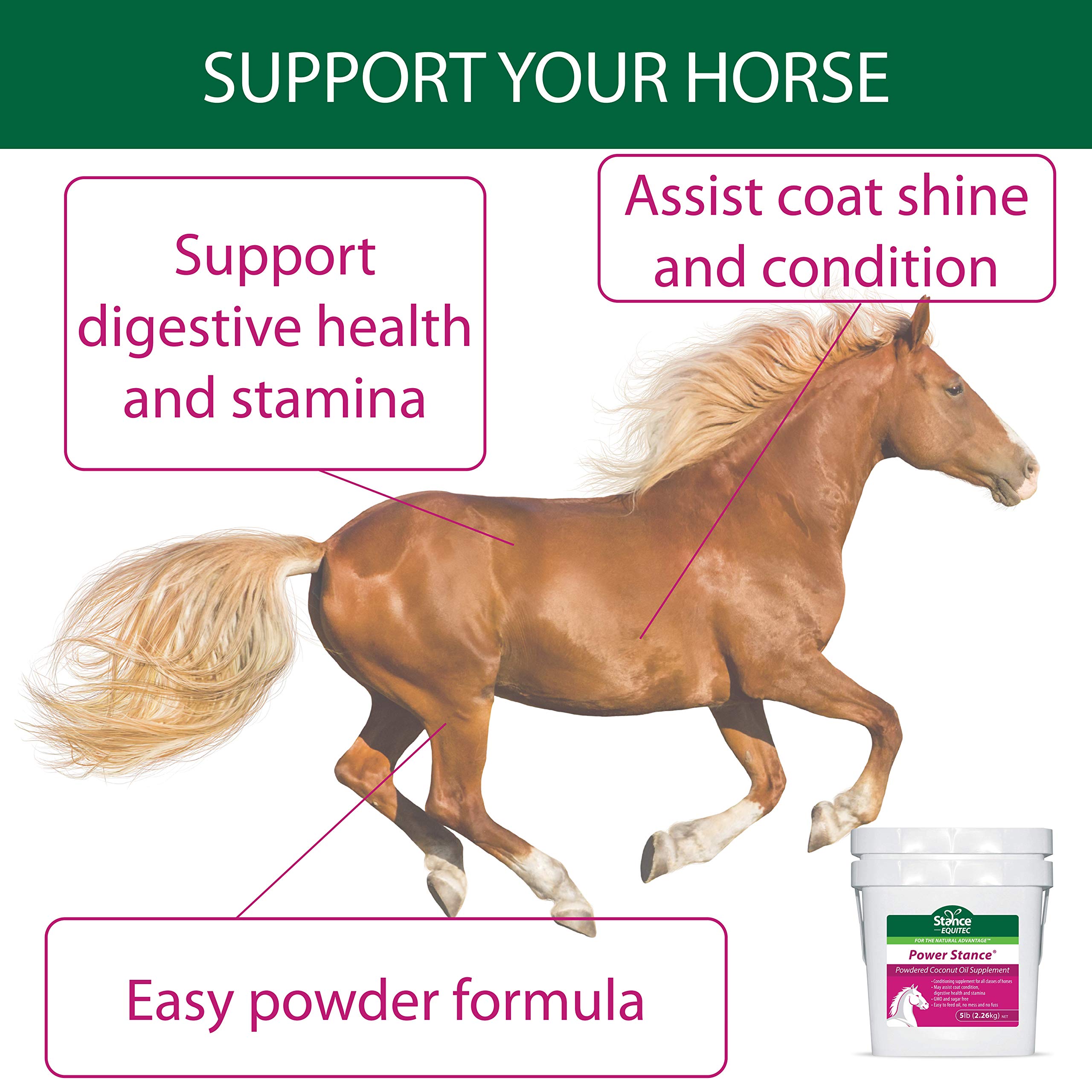 Power Stance Powdered Coconut Oil Horse Supplement - May Support Coat Condition, Digestive Health and Stamina, GMO & Sugar Free - 5 lb