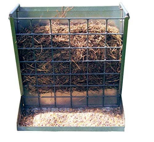 Little Giant Classic Heavy Duty Metal 2 in 1 Goat and Sheep Hay Feeder with Hook Over Design Mounts for Farm Animal and Livestock Feeding