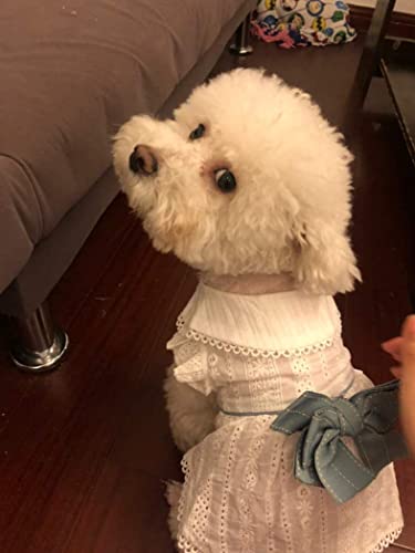 Jingmezhi Pet Cotton Embroidered Back Bowknot Hollow Out Dresses for Cat Dog Daily Clothing (S+(6.6lb~7.7lb))