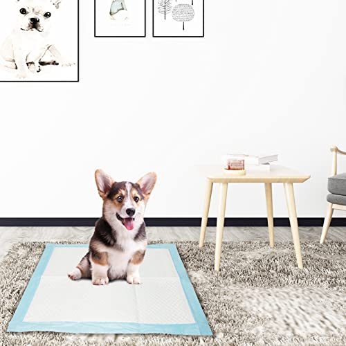 kathson 22" x 22" Puppy Pee Pads Rabbit Disposable Potty Training Pad 40PCS Super Absorbent & Leak-Free Doggy Pet Supplies for Bunny Kitten Small Dog Guinea Pig
