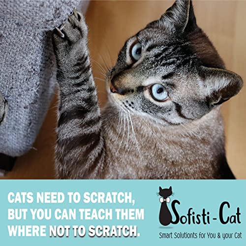 Sofisti - Cat Scratch Deterrent Tape for Furniture β 10 Double Sided Anti Scratching Sticky Tape - Cat Scratch Furniture Protector β Cat Training Tape Teaches Your Kitty Not to Scratch Your Couch