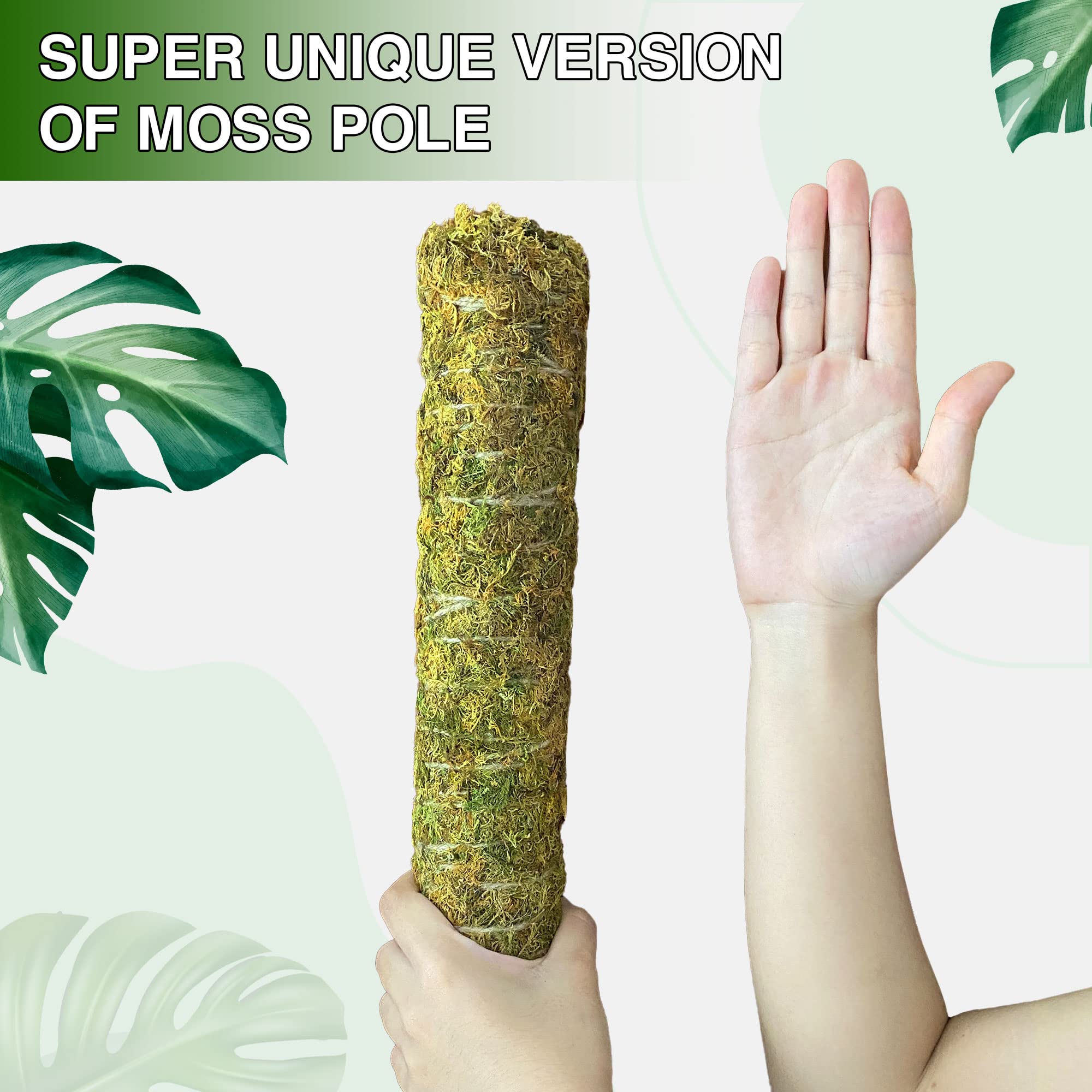DUSPRO 59ββ Inches Large Moss Pole for Plants Monstera, Tall Indoor Plant Stake Support for Big Climbing Pothos Long Handmade Forest Moss Totem/Giant Trellis (Extra Large Size)