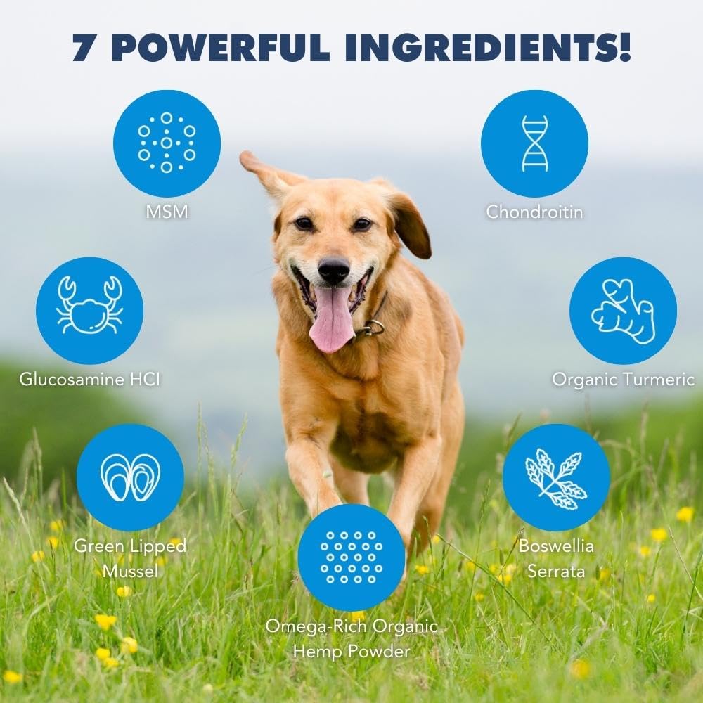 iHeartDogs Bone Broth and Advanced 8-in-1 Joint Supplement for Dogs Bundle