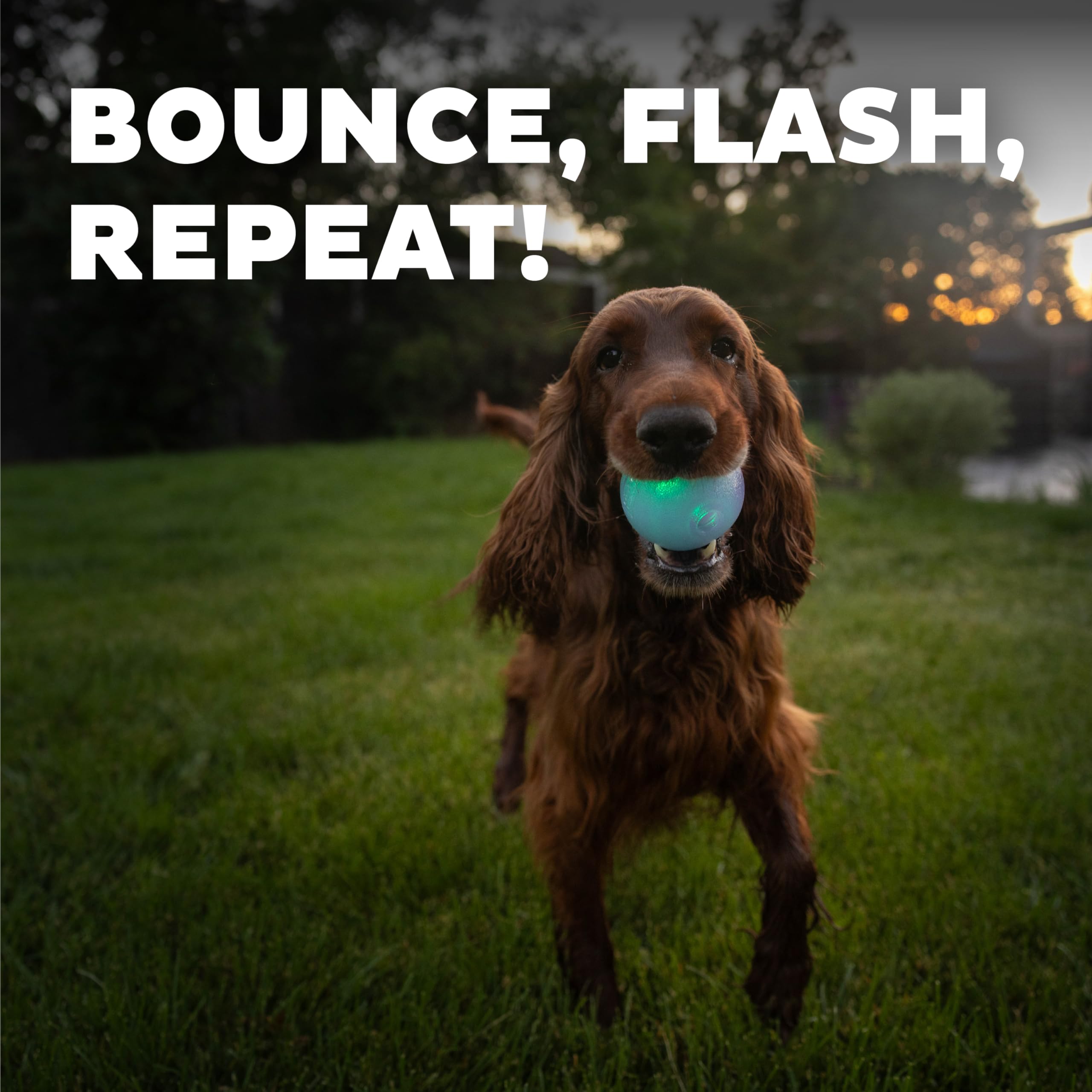 Outward Hound by Planet Dog Strobe Ball Glo Light Up LED Ball Dog Toy