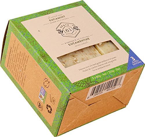 Crate 61, Handmade in Canada, Plant Based Cold Process Natural Bar Soap For Face And Body, With Premium Essential Oils, Eucalyptus & Peppermint For Men And Women 3 Pack (Eucamint)