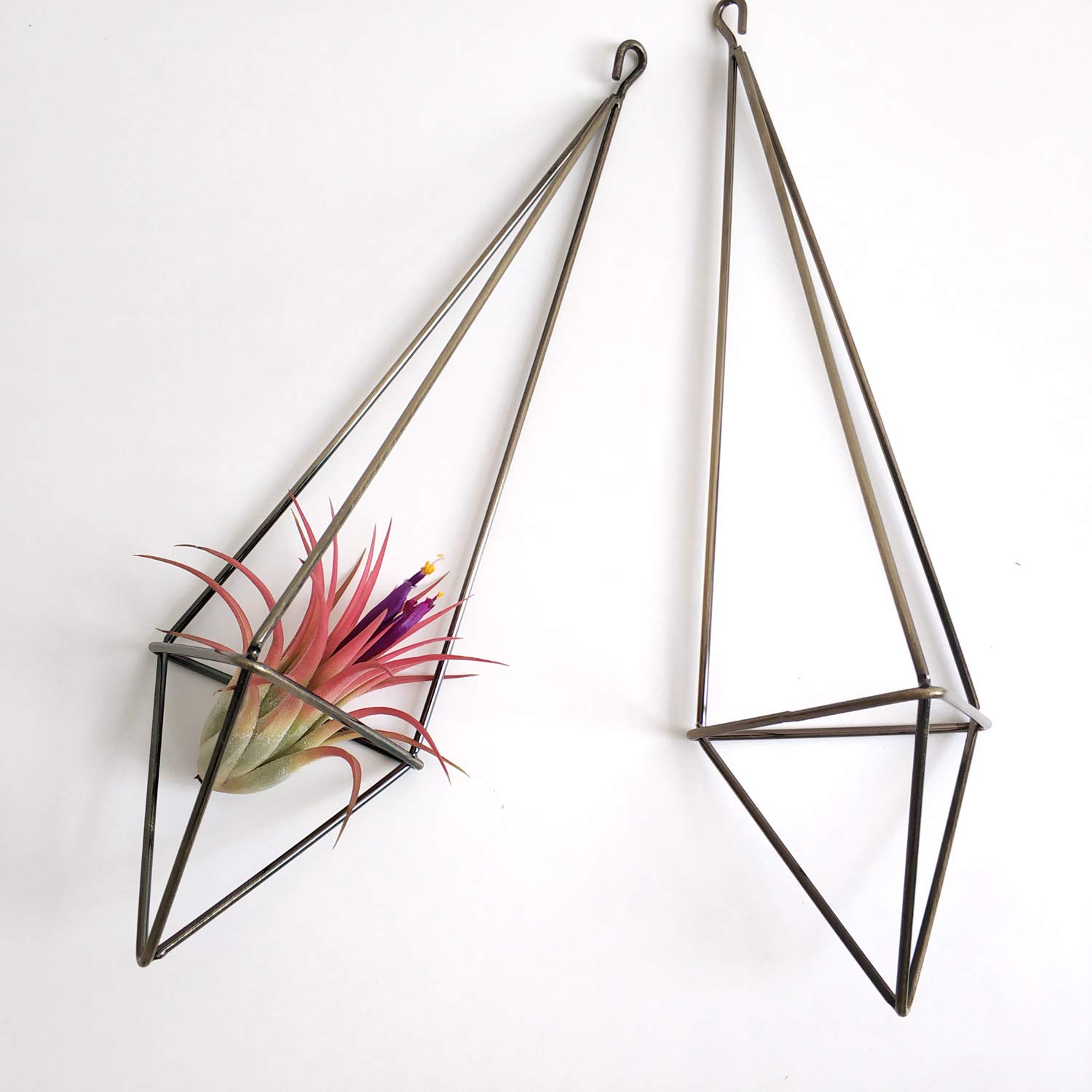Dahey Hanging Air Plant Holder Unique Tillandsia Hanger Display Himmeli Geometric Planter with Chains Metal Airplant Rack for Indoor Home Decor, 4 Pack, 2 Sizes, Bronze