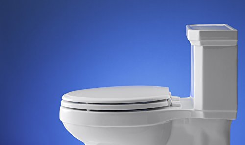 KOHLER K-4694-0 Ridgewood Molded-Wood with Color-Matched Plastic Hinges Elongated Toilet Seat, White