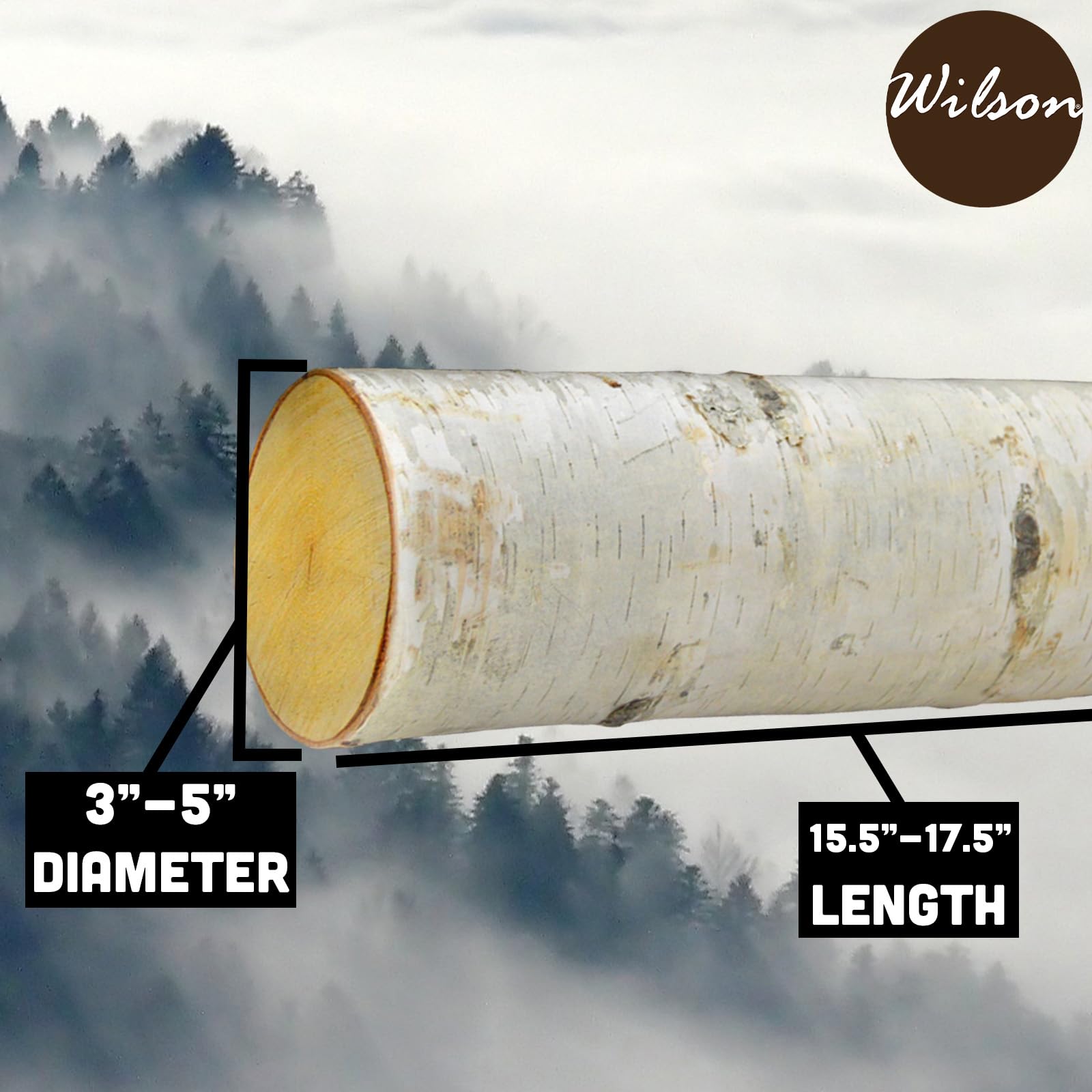 Wilson Large Birch Fireplace Logs, Decorative, Natural Bark Home Décor - 15.5-17.5 in Length 3-5 in Dia. (Set of 5)
