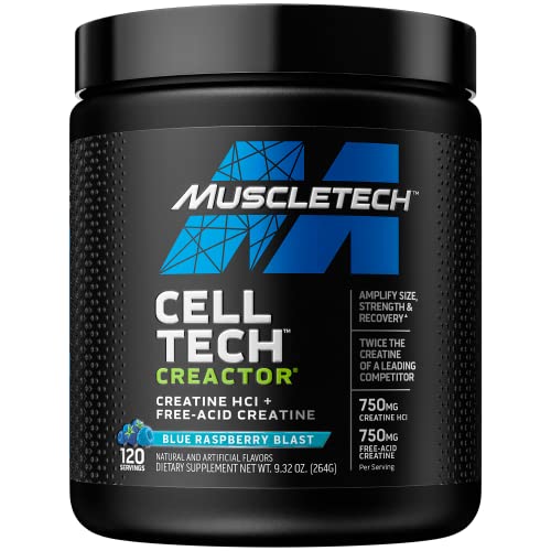 Creatine Powder | MuscleTech Cell-Tech Creactor | Creatine HCl Formula | Muscle Builder for Men & Women | Creatine HCl + Free-Acid Creatine | Creatine Supplements | Blue Raspberry Blast, 120 Servings