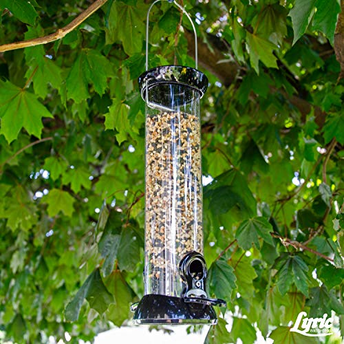 Lyric Chickadee Wild Bird Seed - Sunflower & Nut Premium Bird Food Mix for Chickadees, Nuthatches & Titmice - 20 lb bag