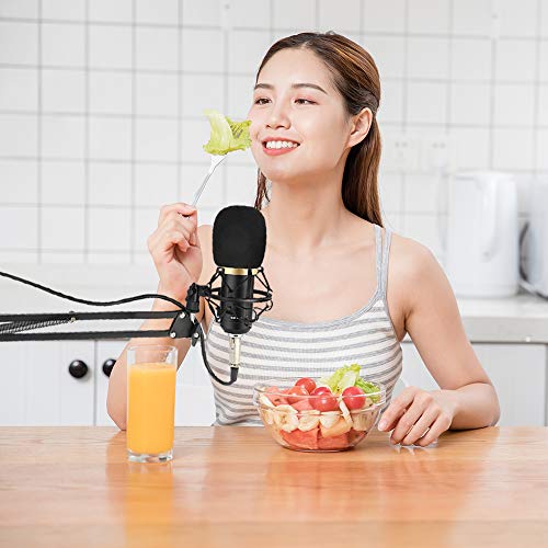 Condenser Microphone Recording Studio USB Computer PC Microphone Kit 192kHz/24bit with Adjustable Scissor Arm Stand Shock Mount for Instruments Voice Overs Recording Podcasting YouTube Karaoke Game