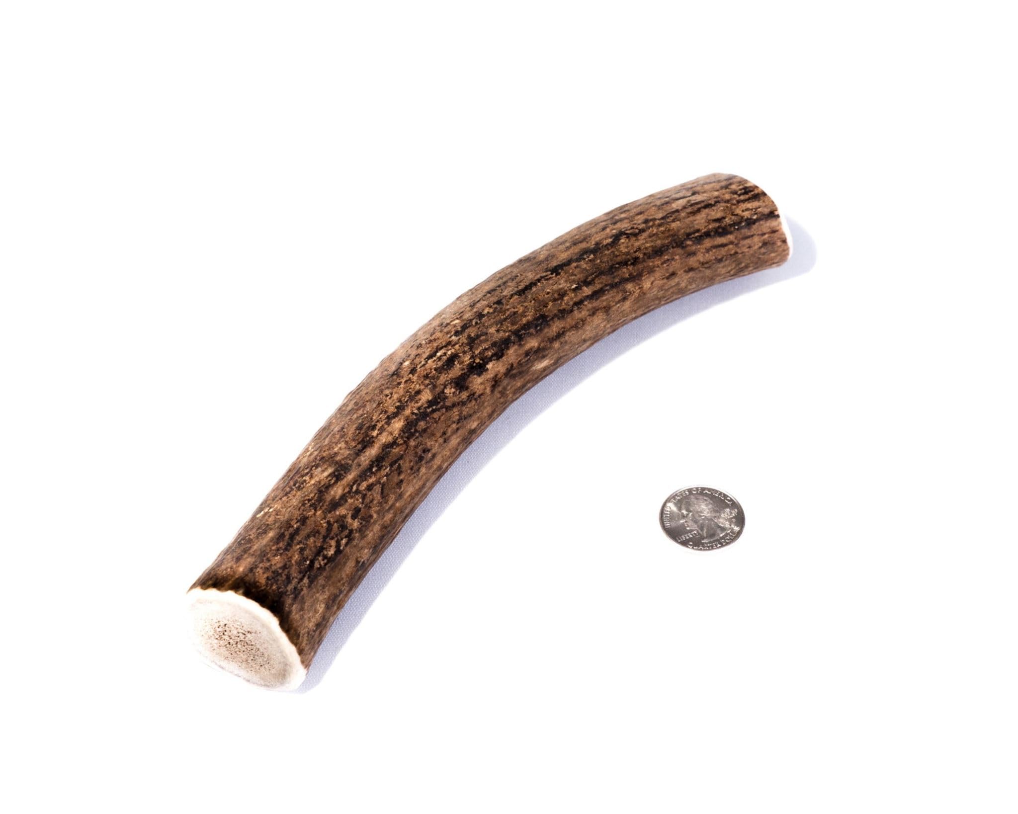 Powder Hound Pet Co. Elk Antler Dog Chew, Great for Aggressive Chewers, All-Natural, Premium A/#1 Grade Elk Antlers, Naturally Shed in USA, Cruelty Free Dog Bones, Will Not Splinter (Large)