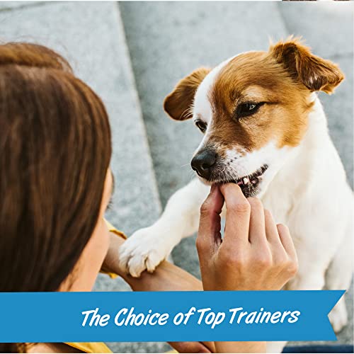 Pet Botanics 20 oz. Pouch Training Reward Soft & Chewy, Chicken Flavor, with 500 Treats Per Bag, The Choice of Top Trainers