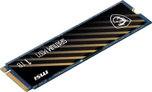 MSI SPATIUM M371 NVMe M.2 1TB Internal SSD PCIe Gen3 NVMe 3D NAND (SPATIUM M371 NVMe M.2 1TB)