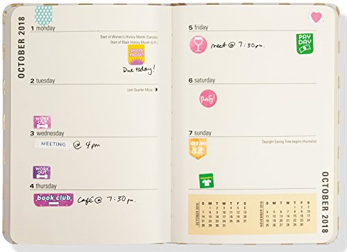 Peter Pauper Press Essentials Weekly Planner Stickers (Set Of 575 Stickers)