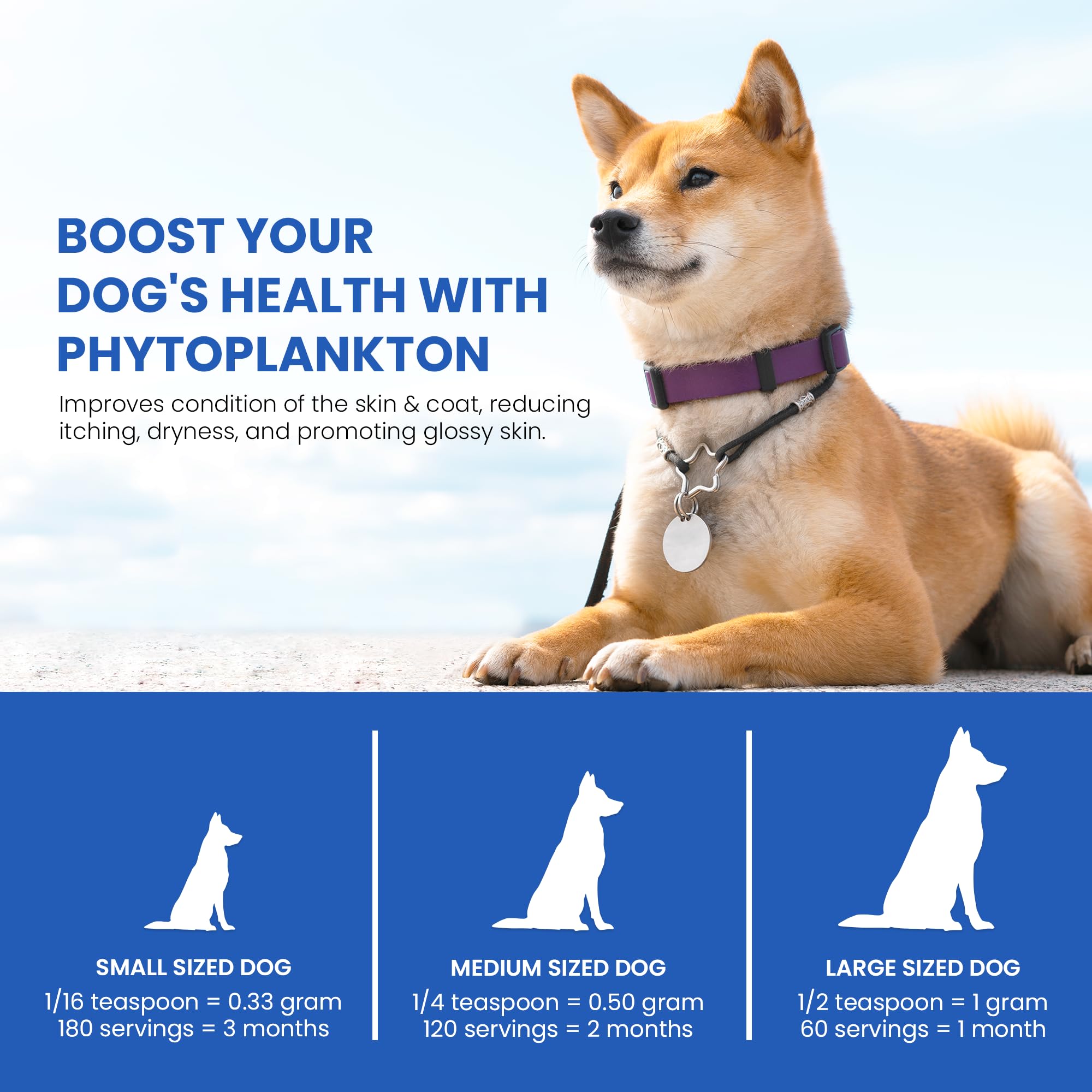 Mr. Ros Marine Phytoplankton: Supercharge Your Dog's Health (2.12 oz / 60 g). Essential Nutrients for Shiny Coat, Strong Joints & Overall Wellbeing