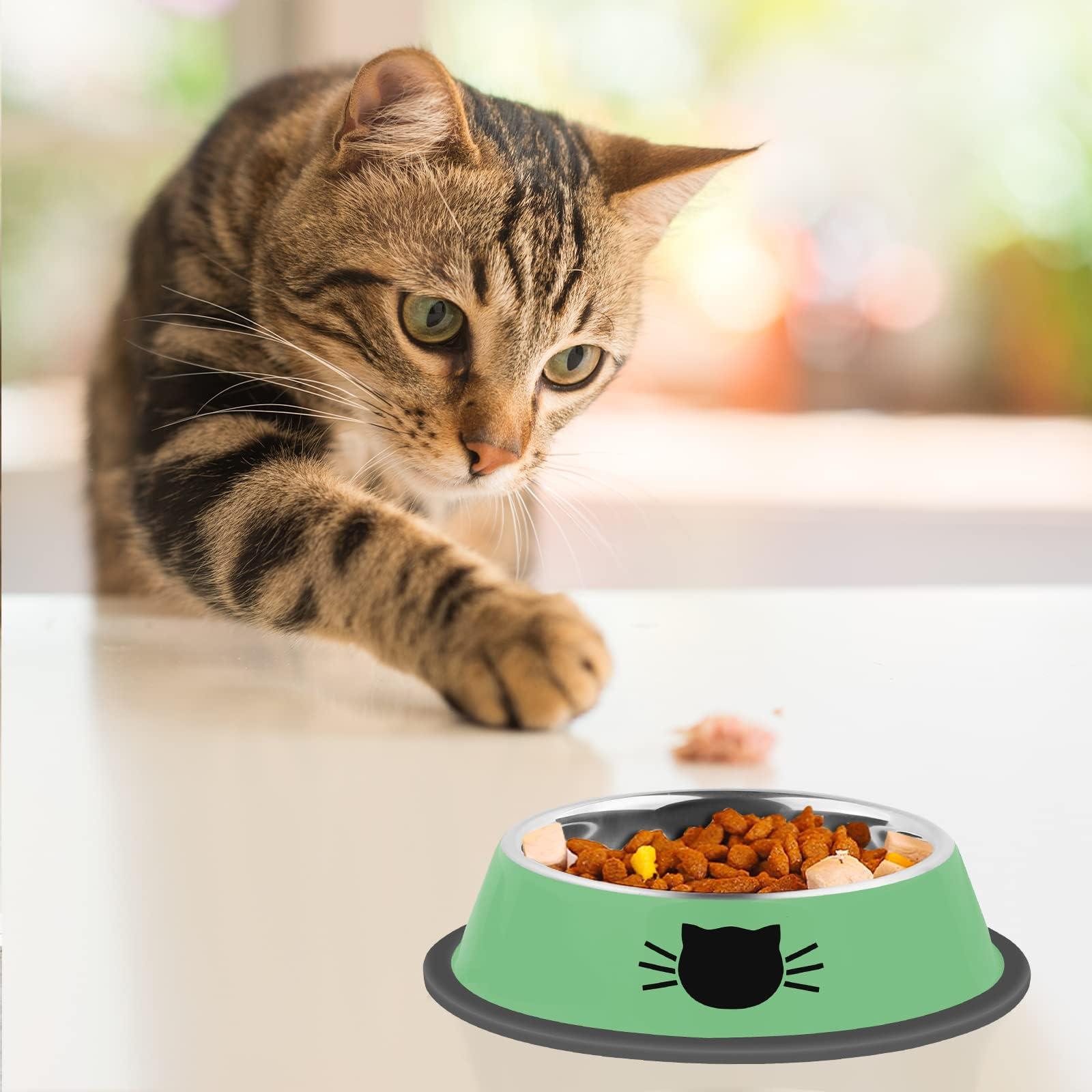 Serentive 2Pcs Cat Bowls Non-Slip Stainless Steel Small Cat Food Bowls Unbreakable Thicken Cat Feeder 7 Oz Cat Dishes Suitable for Indoor Small Pets Removable Rubber Base Easily Clean Lovely Color