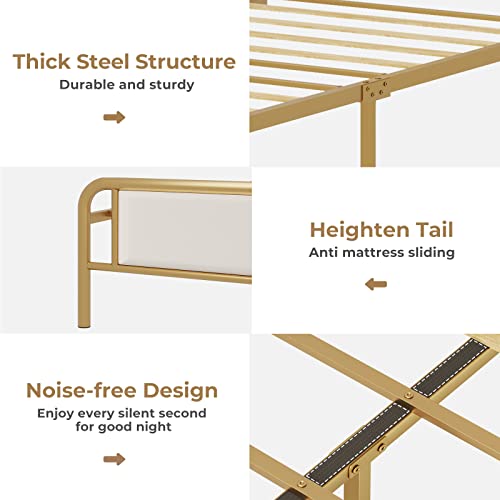 Hasuit Queen Size Bed Frame with Tufted Upholstered Oval Headboard, Heavy Duty Golden Metal Bed Frame Metal with Wooden Slats, Easy Assembly, No Box Spring Needed