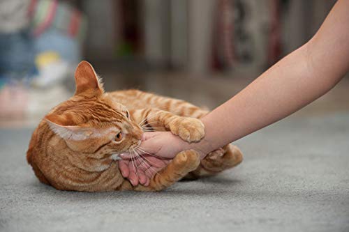 Pet Supplements Turmeric for Cats - CAT Turmeric for Joint Health - Advanced Joint Support - glucosamine chondroitin cat Treats - 3 Bottles (180 Tablets)