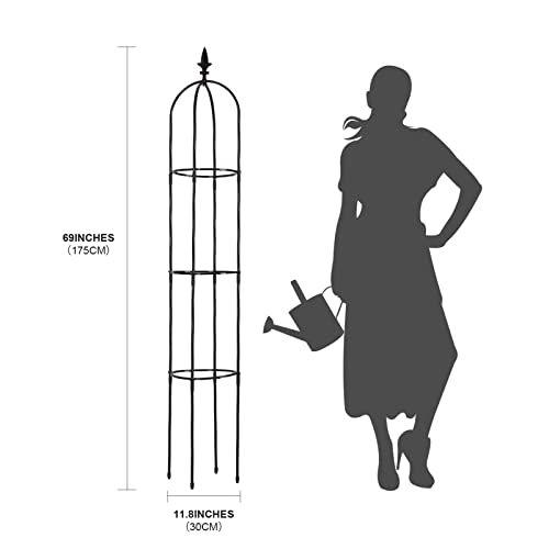 Lalahoni Trellis for Climbing Plants Outdoor, Rustproof Plant Support Potted Flowers Vegetable Vine Indoor Outdoor Garden Obelisk, 6ft Tall Rose Black 1pc