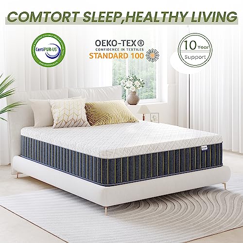 HOXURY Queen Mattress, 12 Inch Hybrid Mattress Queen Size, Memory Foam & Individually Wrapped Pocket Coils Innerspring Mattress in a Box, Pressure Relief & Cooler Sleeping