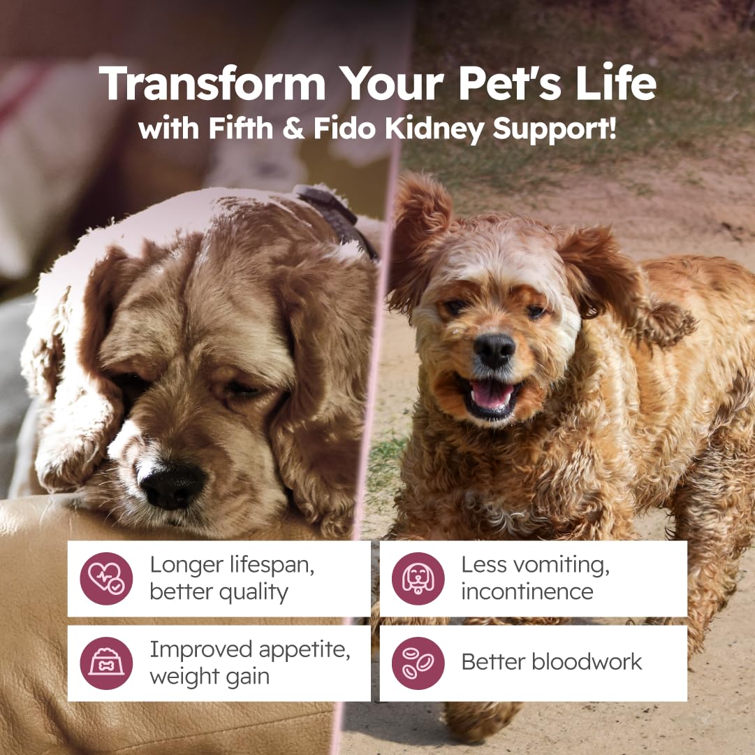 Milk Thistle for Dogs - Liver Support for Dogs - Milk Thistle for Cats - Milk Thistle Liquid - Dog Liver Supplement - Hepato Support for Dogs - Lower Liver Enzymes Naturally
