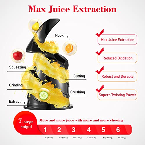 compact masticating juicer