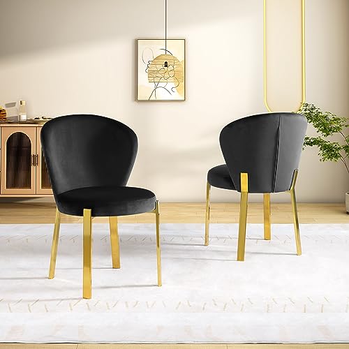 KithKasa Velvet Dining Chairs Set of 2 Upholstered Modern Kitchen Side Dinner Chairs with Golden Metal Legs for Vanity Dining Room, Black