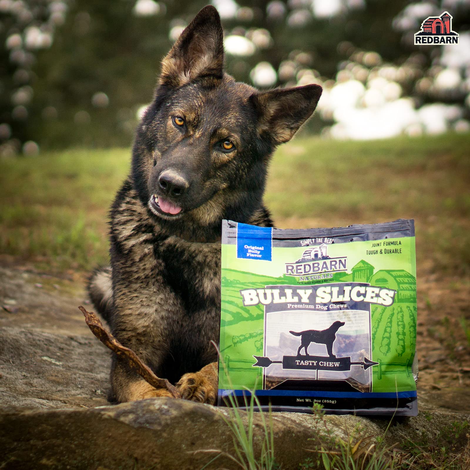 Redbarn Bully Slices for Dogs | Highly Palatable, Long-Lasting Natural Dental Treats with Functional Ingredients, 9 oz. (Pack of 6) - French Toast