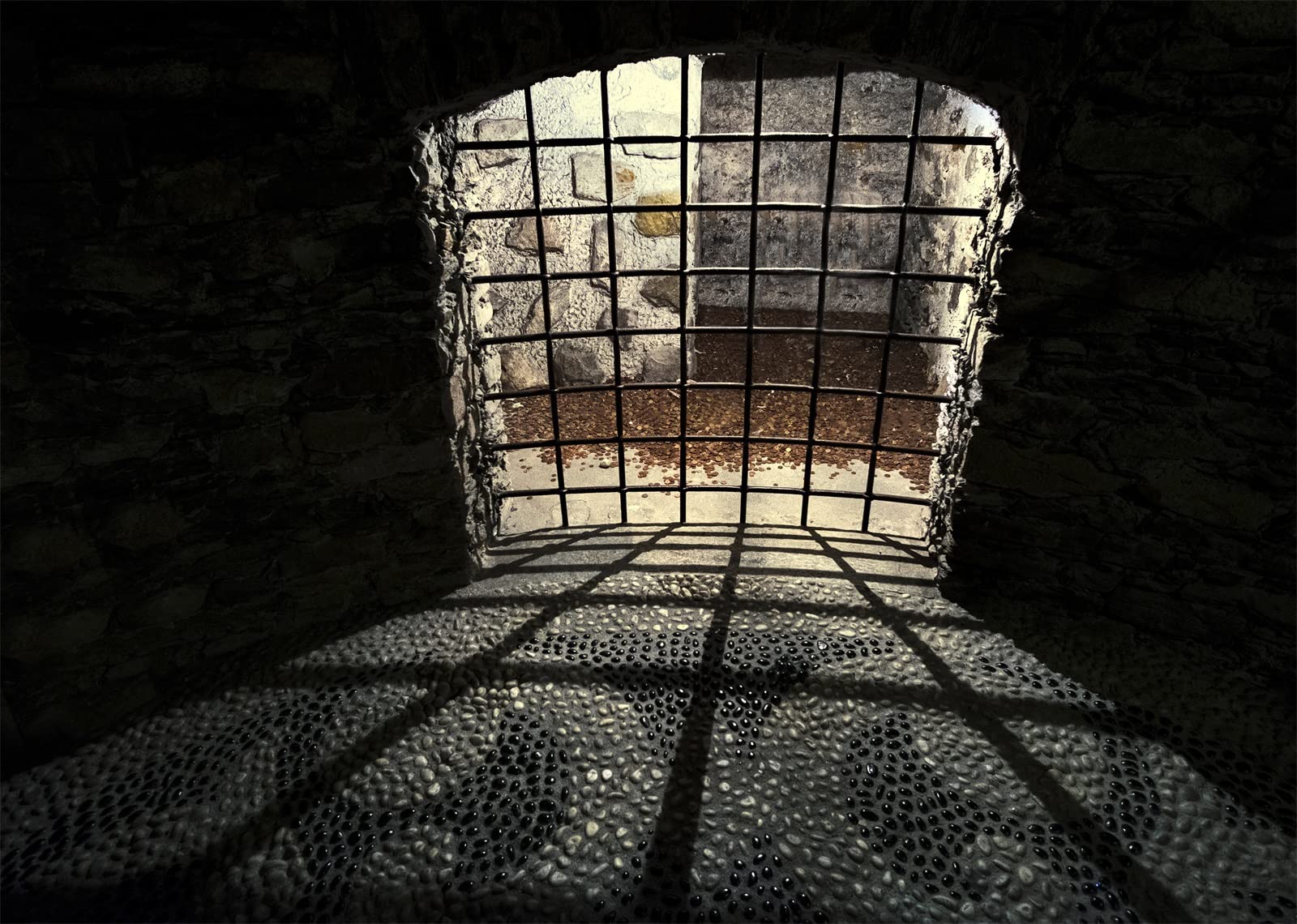 CORFOTO 5x3ft Fabric Medieval Jail Cell Backdrop for Photography Prison Window Light Background Old Dungeon Cell Party Decorations Murder Mystery Party Backdrop Photoshoot Booth Studio Props