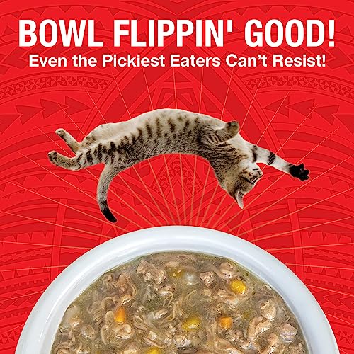 KOHA Pure Shreds Beef Entrée for Cats, Single Meat High Protein Wet Cat Food, 5.5oz Cans (Pack of 12)