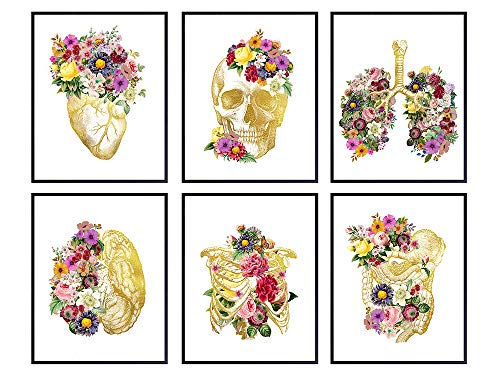 Human Anatomy Poster Set - Graduation Gift for Nurse Practitioner, Physicians Assistant, RN, Doctor Office, Medical Student - Vintage Gothic Decor, Chic Country Wall Art Decoration - 8X10 UNFRAMED Set