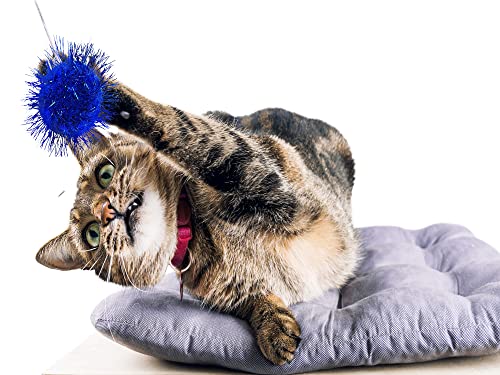 Hulless 20 Pcs 2 Inch Cat Sparkle Balls Toy Interactive Balls for Kittens Exercise and Cats Play and Chase