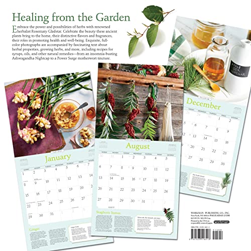 Rosemary Gladstar's Herbs Wall Calendar 2023: Recipes and Remedies for Health and Home