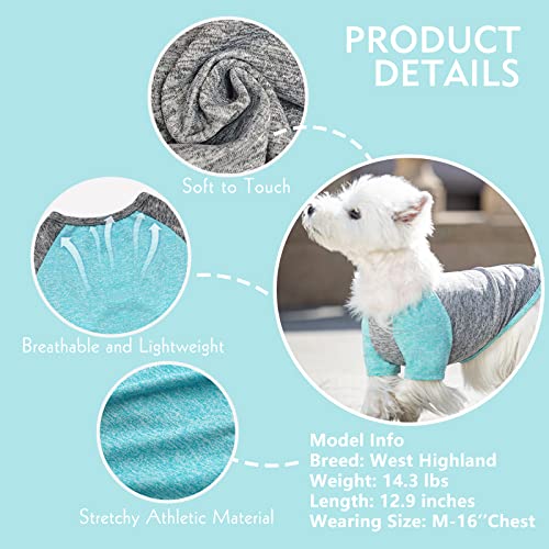 KYEESE 2 Pack Dog Shirts Raglan Sleeve Quick Dry Lightweight Stretchy Protects Against Foxtails Dog T-Shirts with Reflective Label Puppy Shirts for Small Dogs Sun Protection, Medium, Grey+Blue