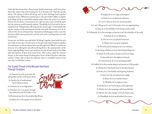 The Non-Prophet's Guide to the Bible: A Visual Journey Through God’s Story...and Where You Fit In