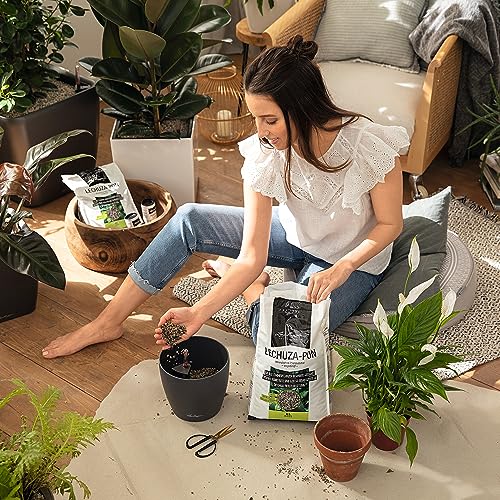 Lechuza 19562 PON Mineral Plant Substrate Potting Mix for Indoor Gardening, 12 Liter Bag, Grey