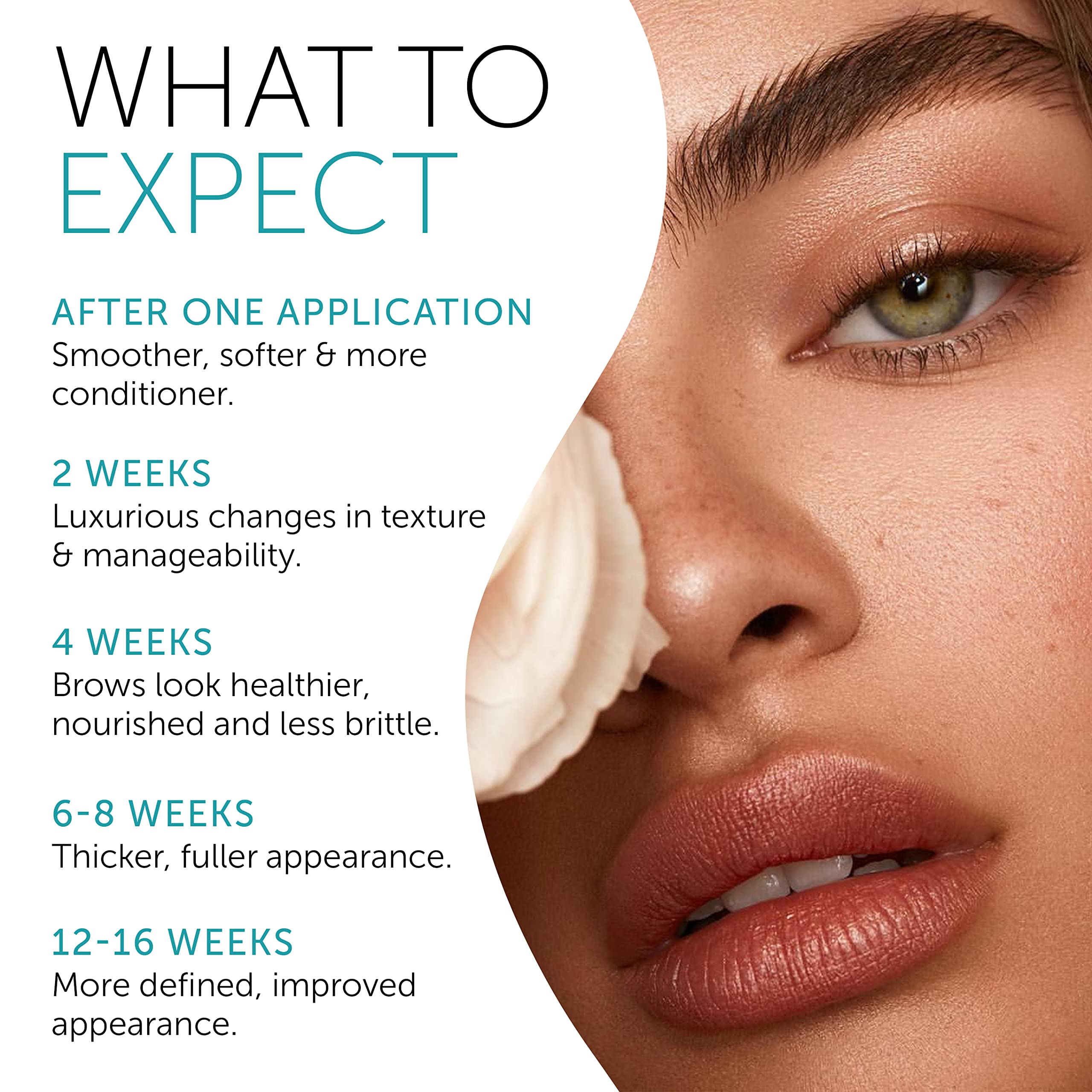 Eyebrows Growth Serum I Eyebrows Regrowth Treatment I Brow Enhancing Serum with 5% Capixyl, Biotin, Peptides, Eclipta Alba and Hyaluronic Acid I Eyebrows Growth Length Thickness Darkness