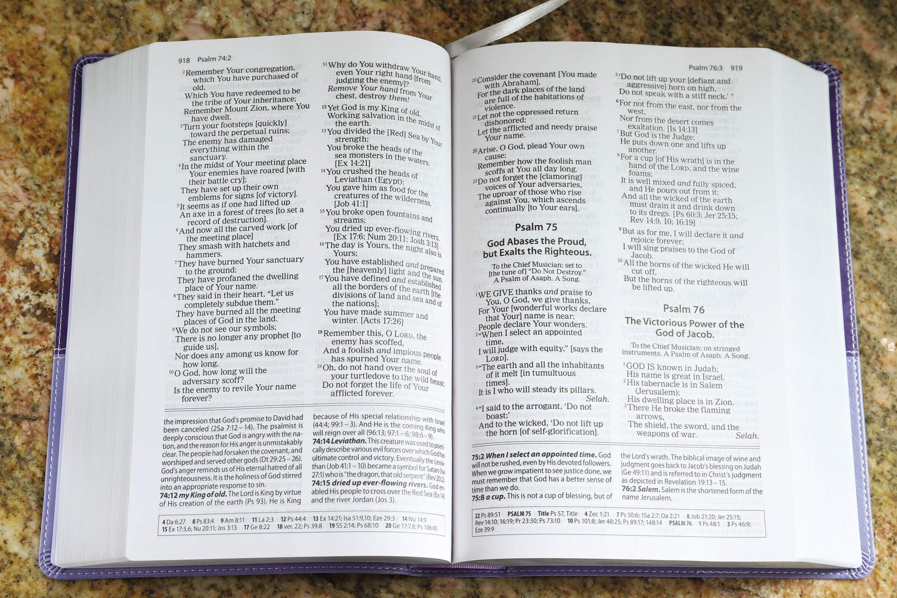 The Amplified Study Bible, Leathersoft, Purple